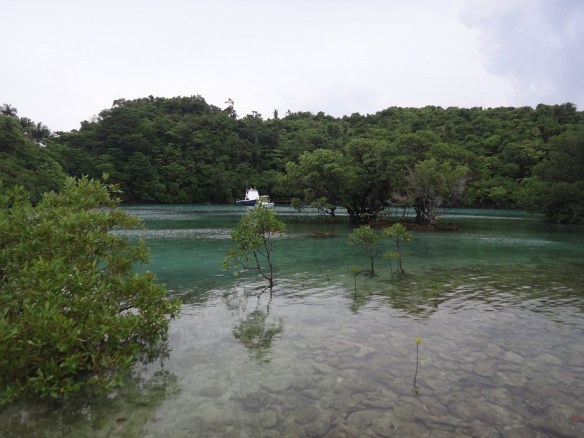 8 Reasons to Fall In Love With Danjugan Island | Traveling Light