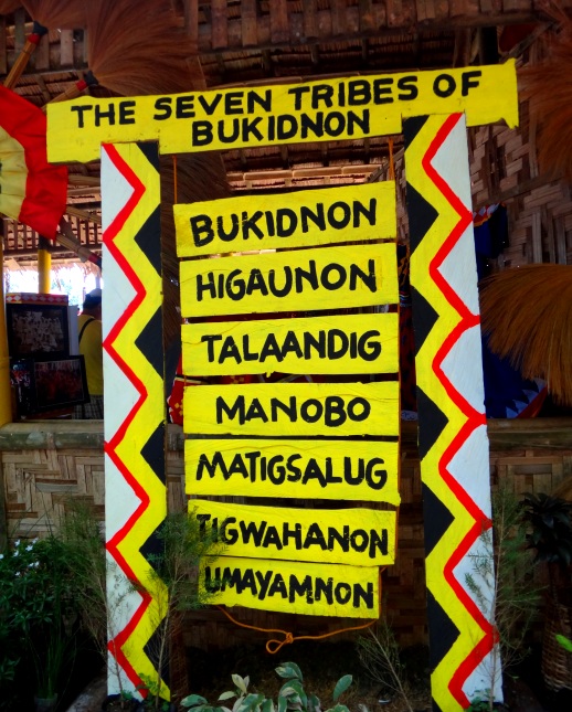 Kaamulan Festival Street Dance In Photos: A Glimpse of Bukidnon’s Rich ...