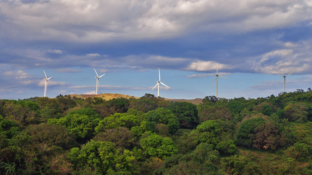 Pineapples, Hills, and Windmills in Beautiful Pililla, Rizal + How to ...