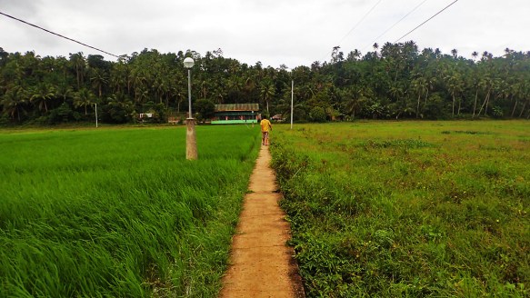 Calauag Quezon Logo 46,171,022 Calauag Stock Illustrations