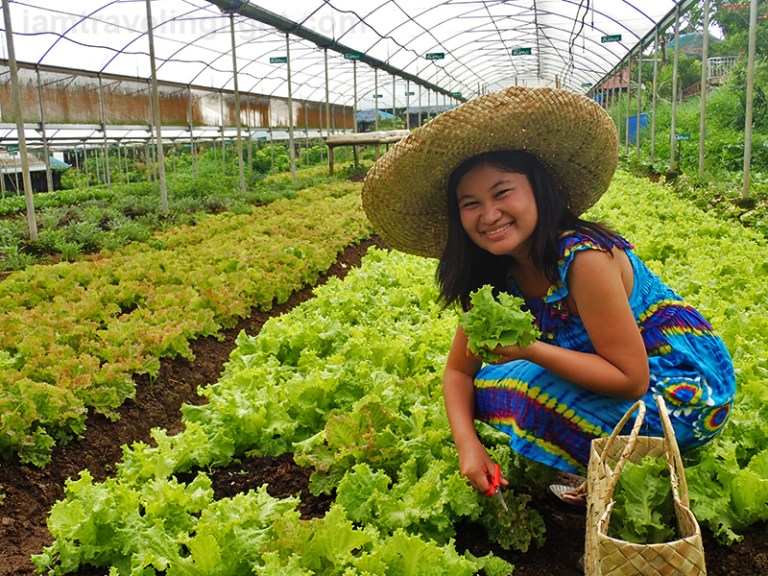 Nature and Farm Experience, Delicious Organic Food, and Other Reasons ...