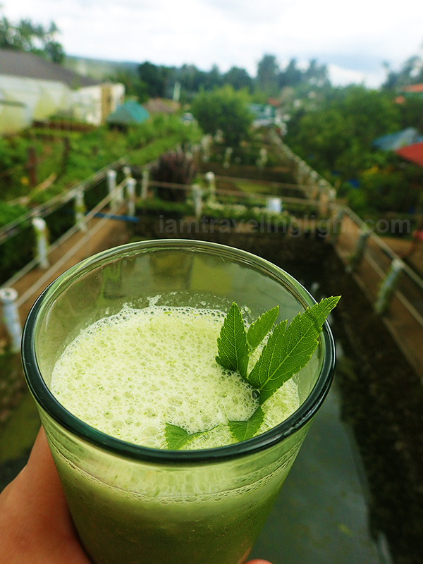 Nature and Farm Experience, Delicious Organic Food, and Other Reasons ...