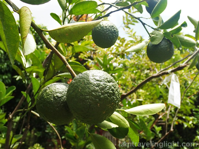 From spas and chill to nature and adventure: 9 places to visit in ...