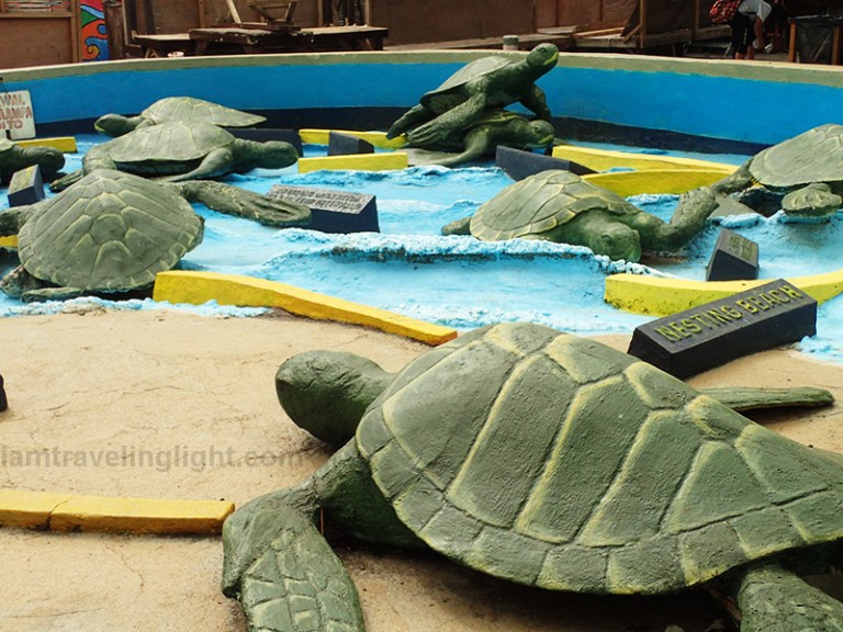 An act of faith: Releasing baby turtles at Pawikan Conservation Center ...