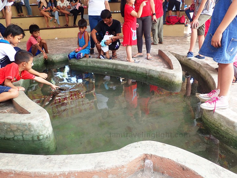 An act of faith: Releasing baby turtles at Pawikan Conservation Center ...