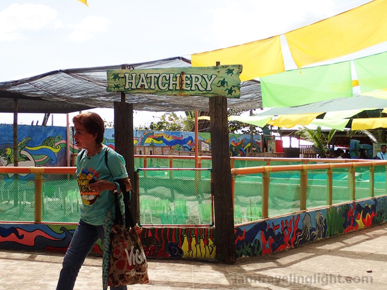 An act of faith: Releasing baby turtles at Pawikan Conservation Center ...
