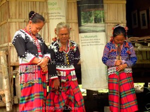 A traditional meal, a dance, and more: A brief cultural immersion with ...