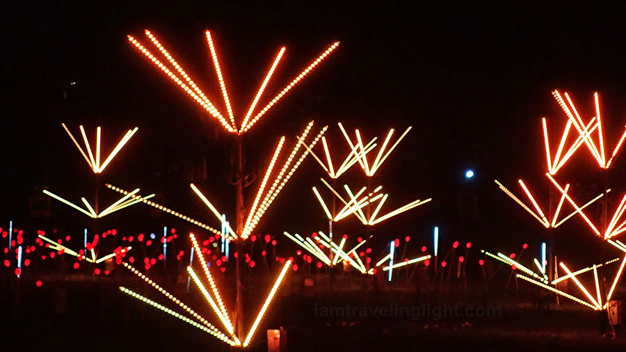 Disney magic and more at the 2018 Magical Field of Lights in Nuvali ...