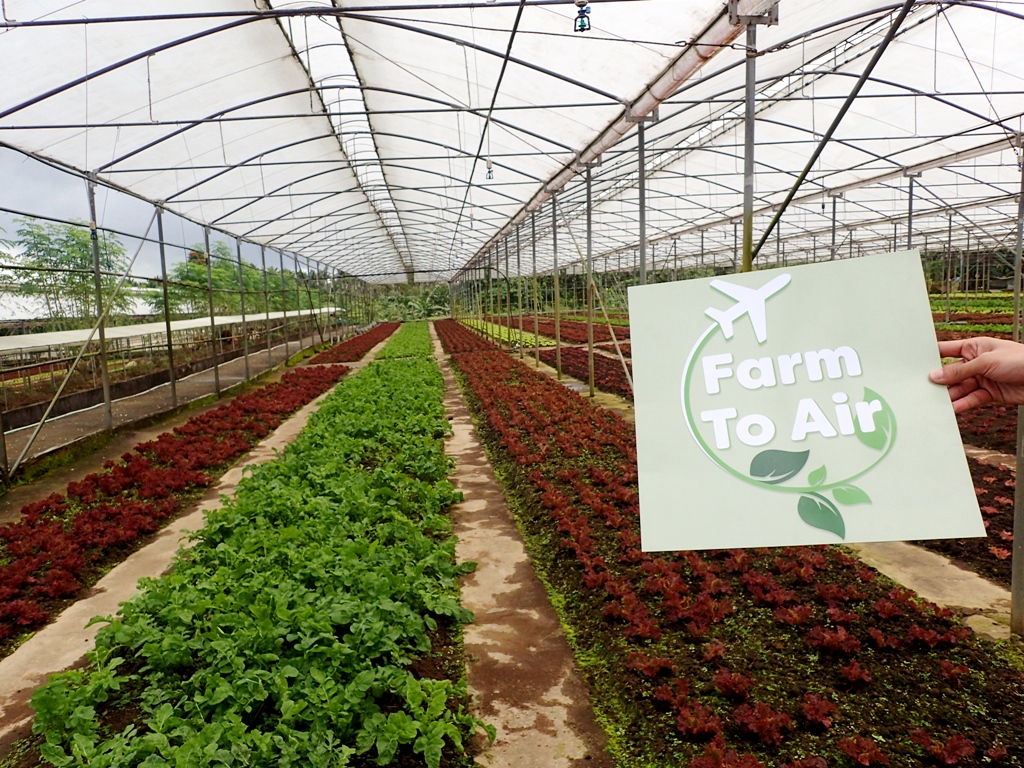 From farm to air: Fresh salads and wraps on flights and more ...