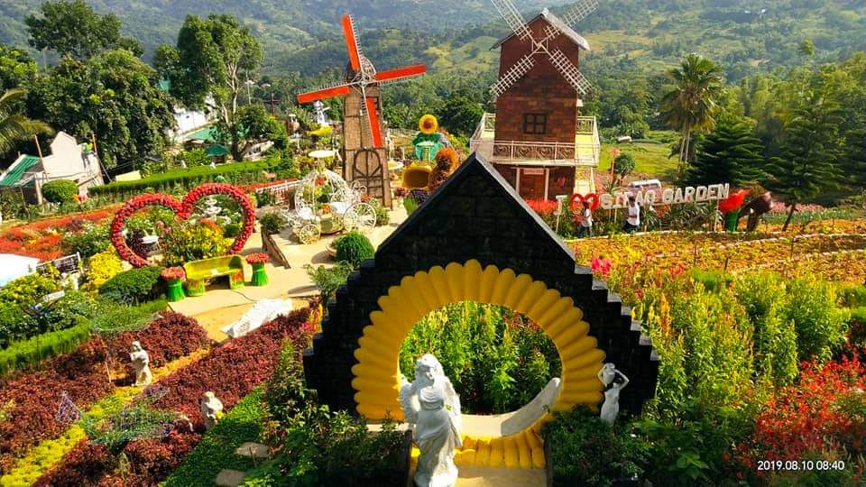 Sirao Flower Garden: A Color Burst of Blooms in Cebu’s Little Amsterdam ...