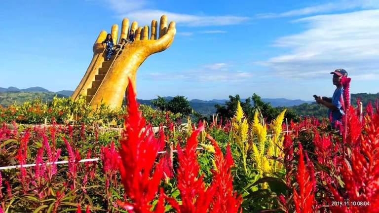 Sirao Flower Garden: A Color Burst of Blooms in Cebu’s Little Amsterdam ...
